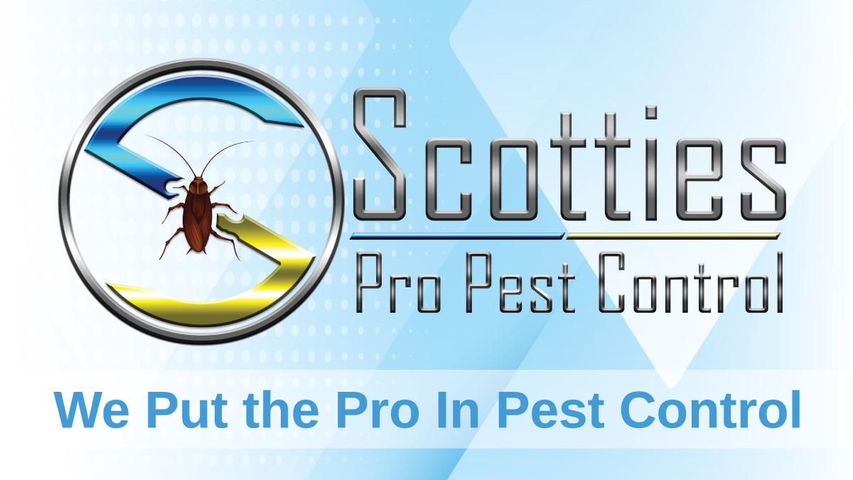 Pest Control Services in Ocala, FL | Scottie’s Pro Pest Control